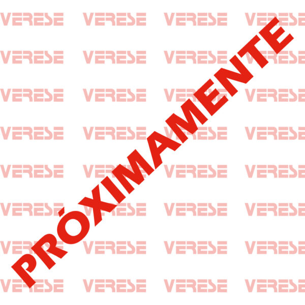 Leaf spring Muelle de 4 hojas posterior 23425818 - Verese